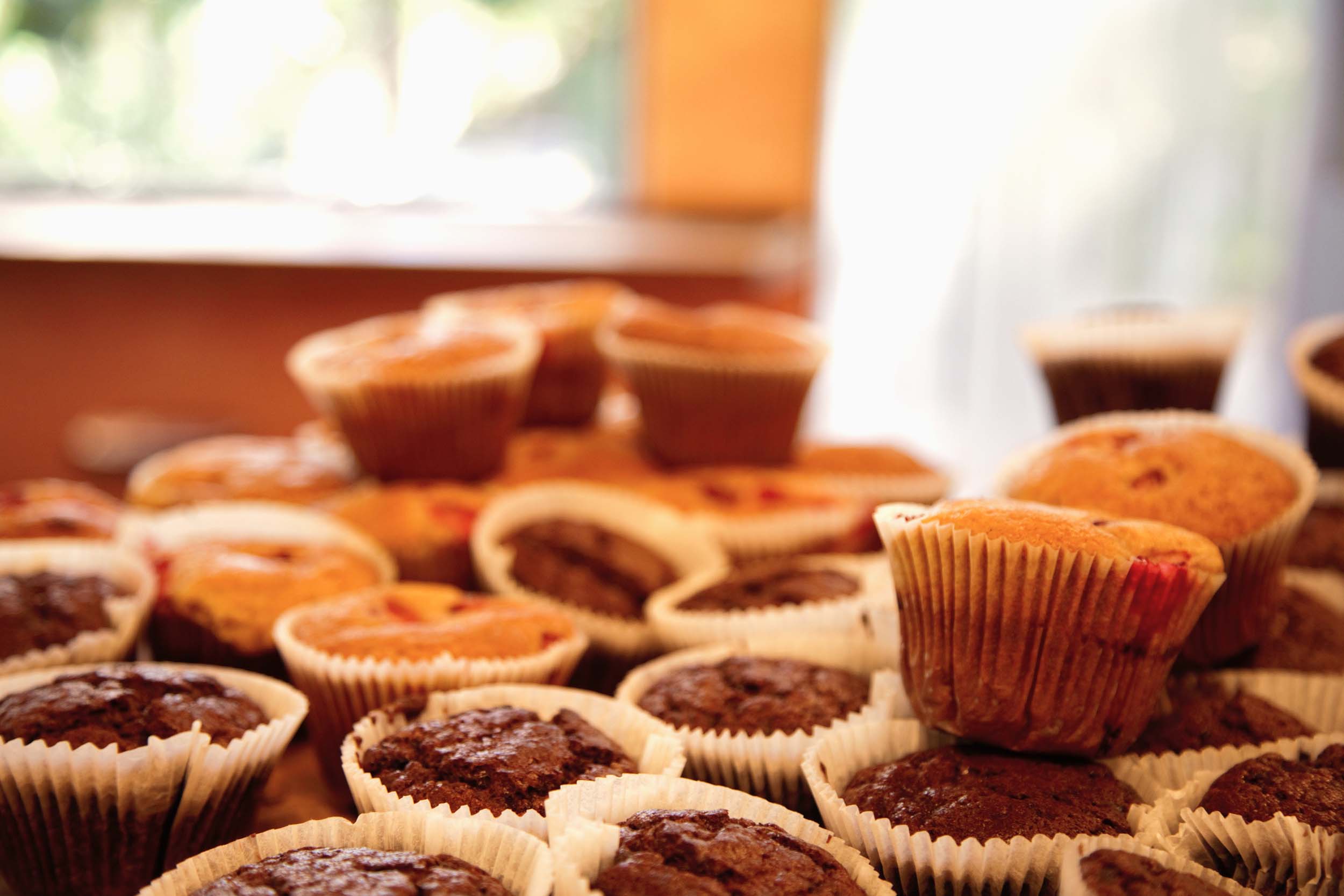 The Dining Room - MRSS